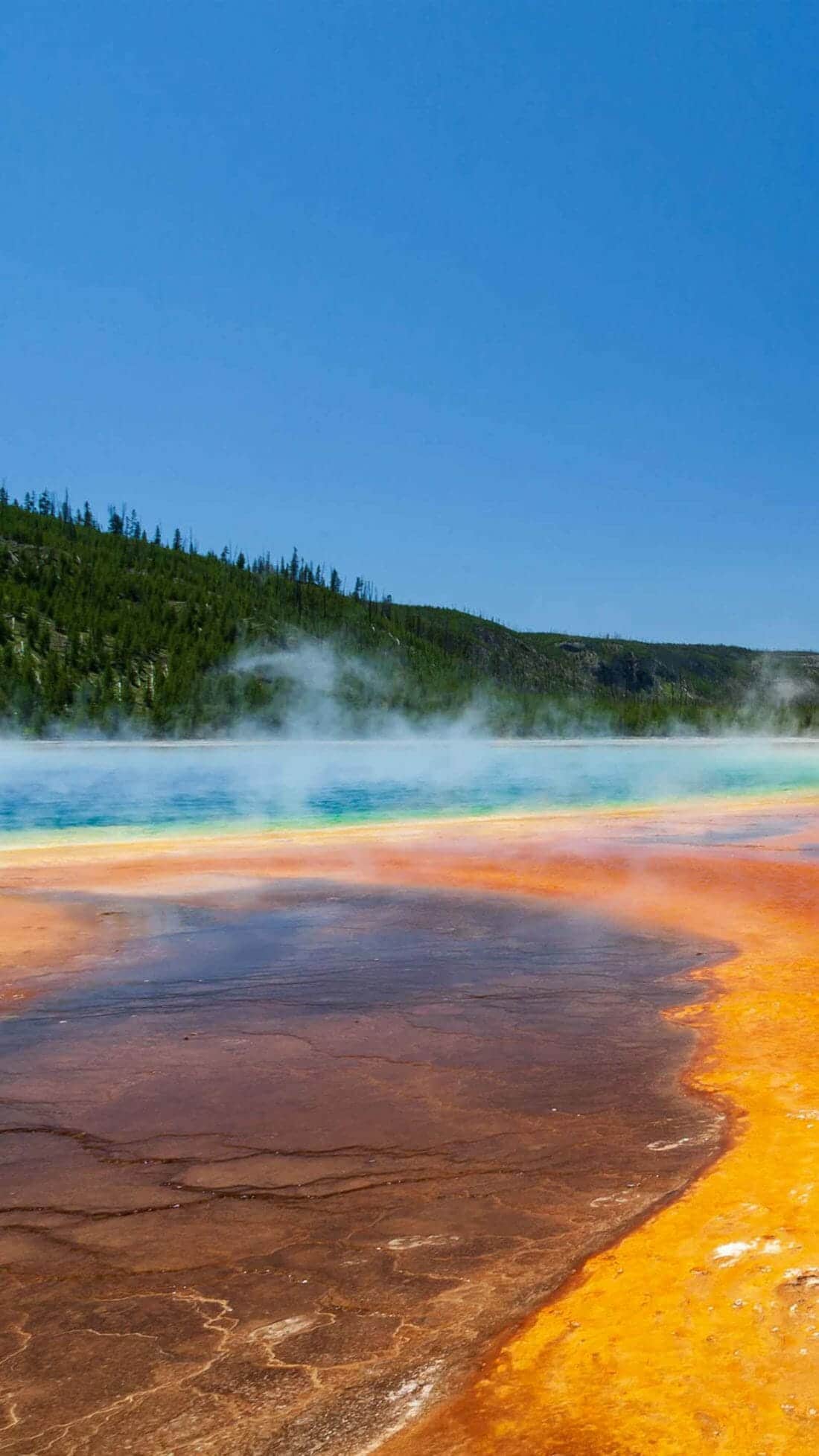 Yellowstone Tours | Guided Yellowstone National Park Safaris