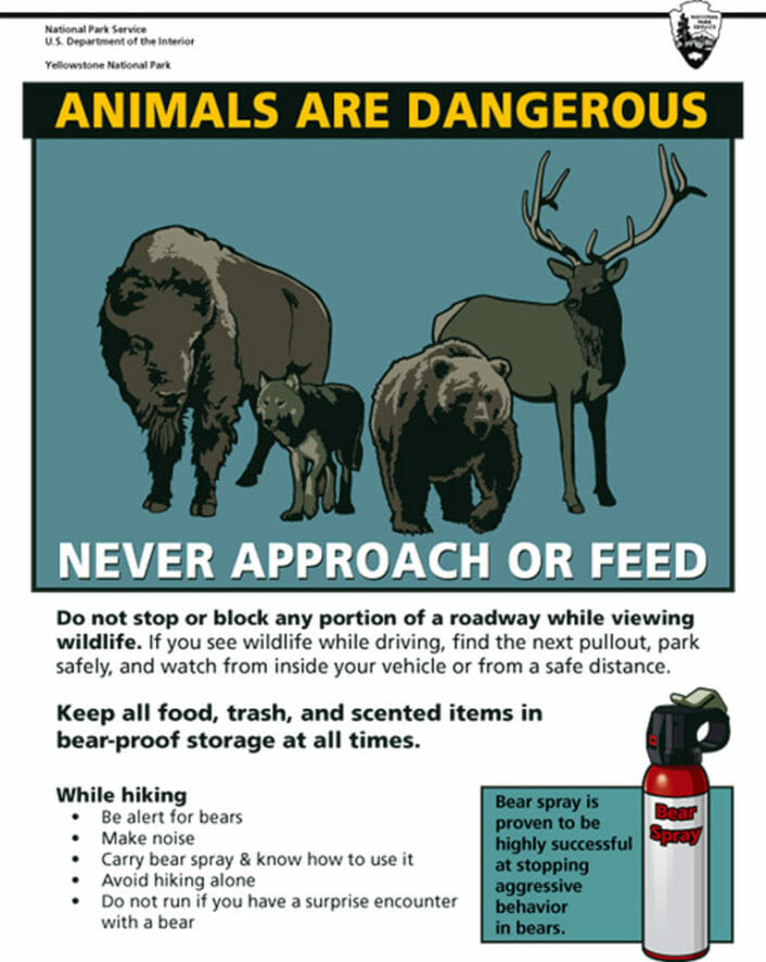 Wildlife Safety - Yellowstone Safari Company