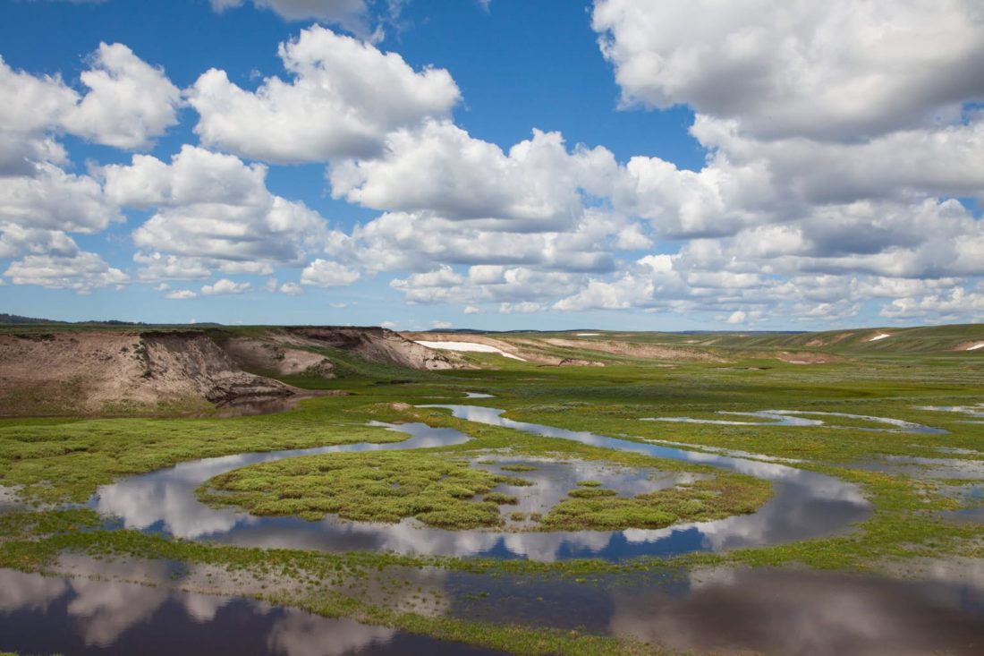 Best of Yellowstone Tours & Highlights | Old Faithful