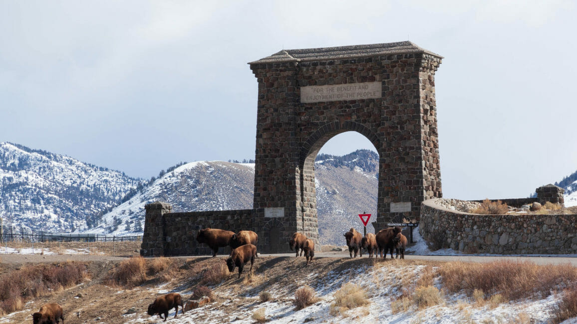 The Best Things to See in Yellowstone National Park!