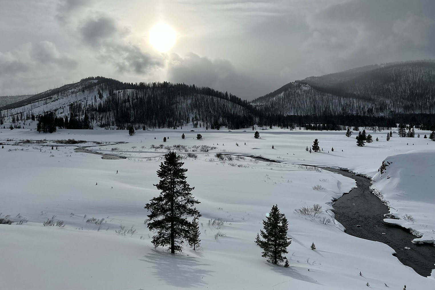 Big Sky Snowshoe Safari - Yellowstone Safari Company