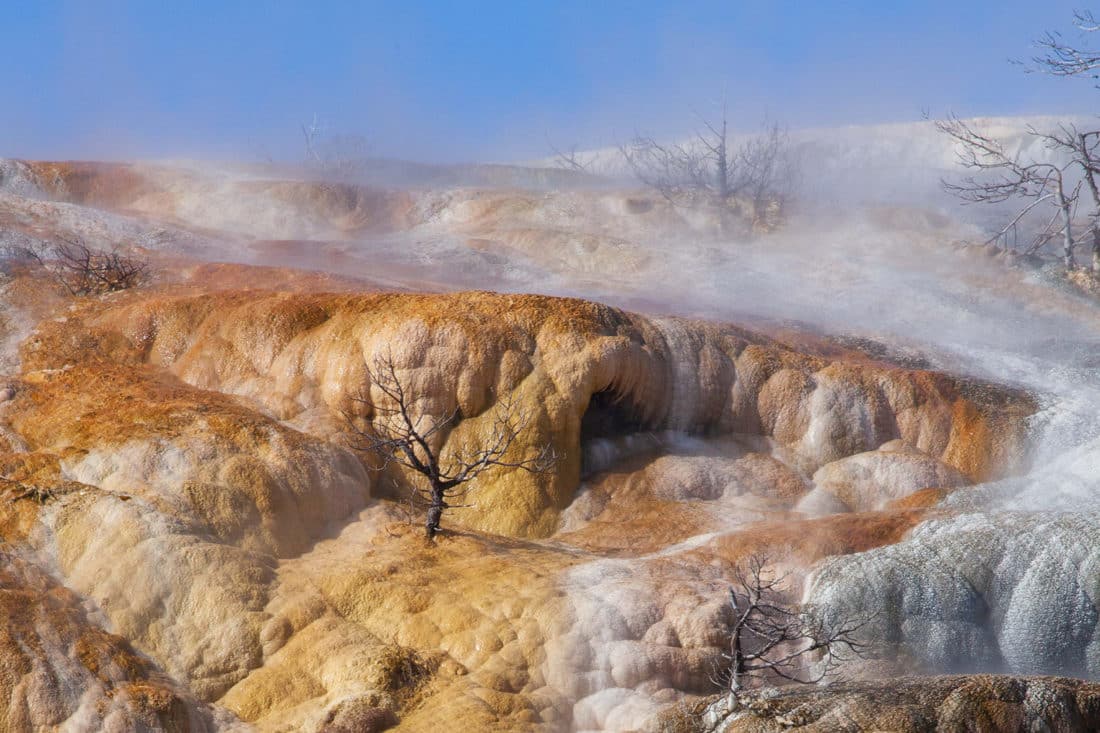 Guided Tour of Yellowstone - Yellowstone Safari Company