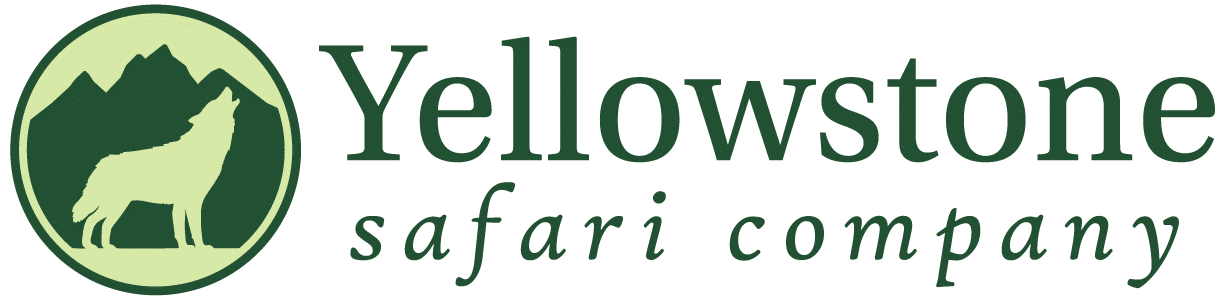 Yellowstone Waterfalls - Yellowstone Safari Company