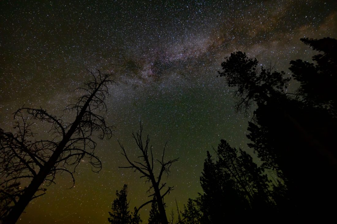 Stargazing in Yellowstone National Park | Night Skies Tour