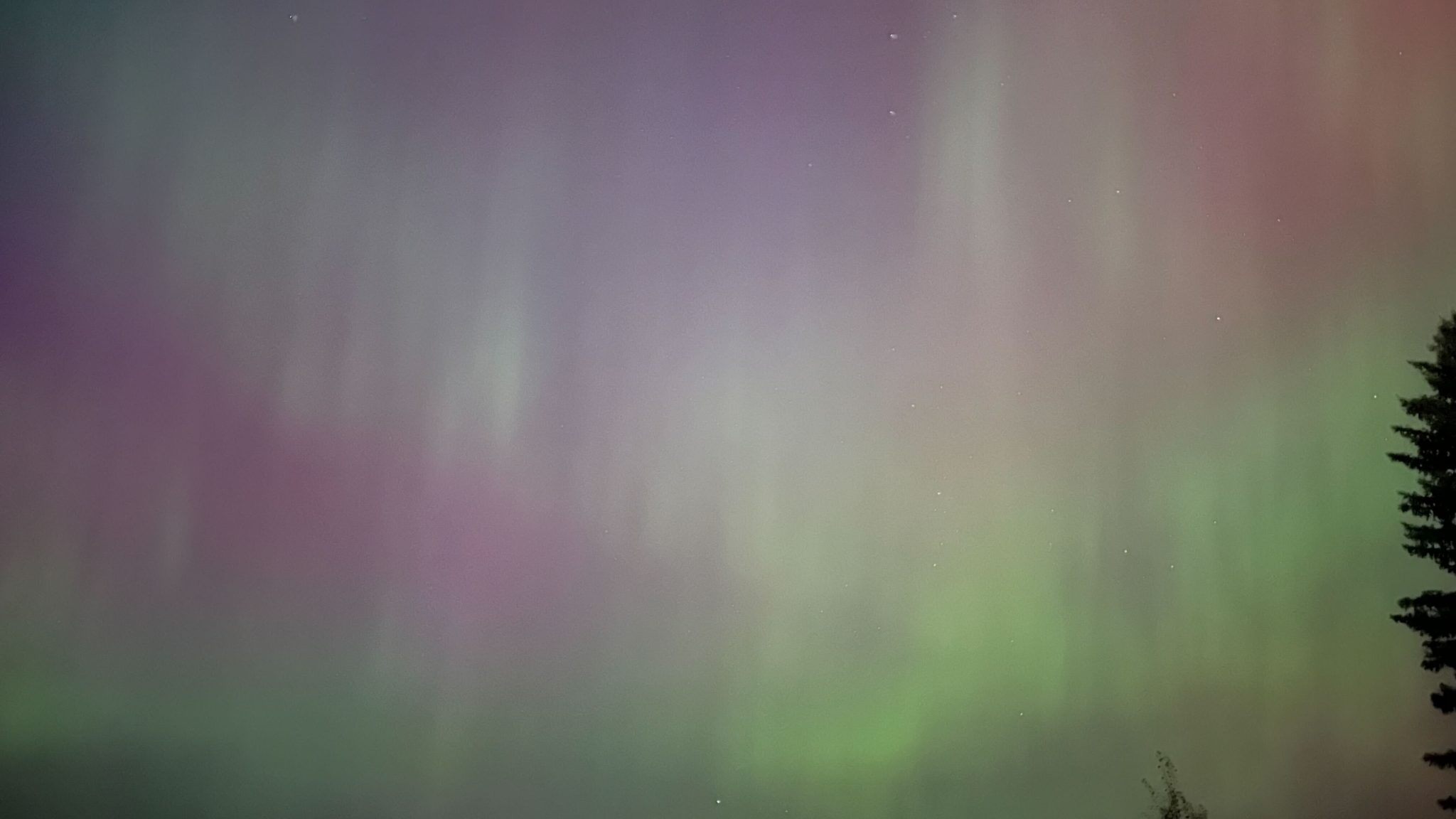 How to Capture Stunning Night Sky Photos in Yellowstone - Yellowstone ...