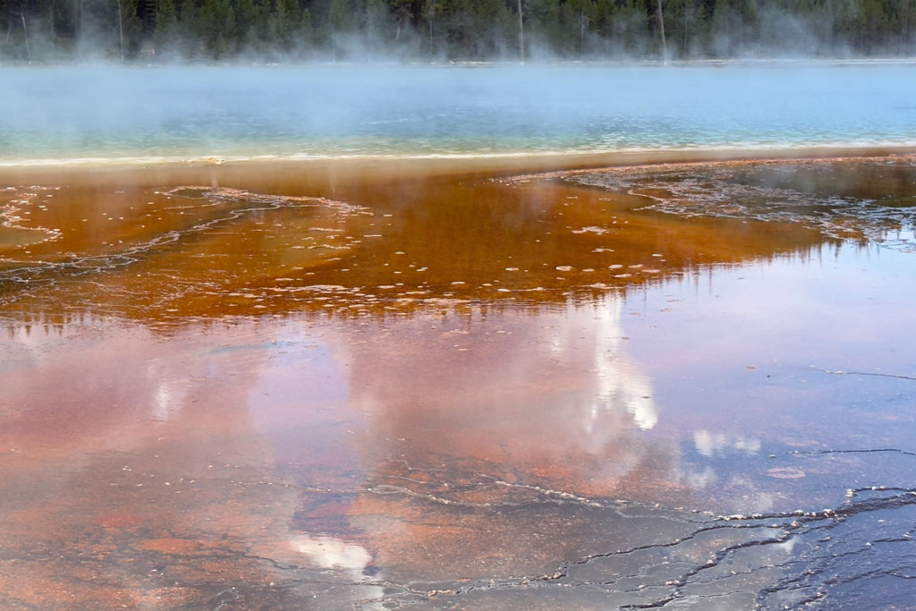 Big Sky Yellowstone Tours: A Complete Guide - Yellowstone Safari Company