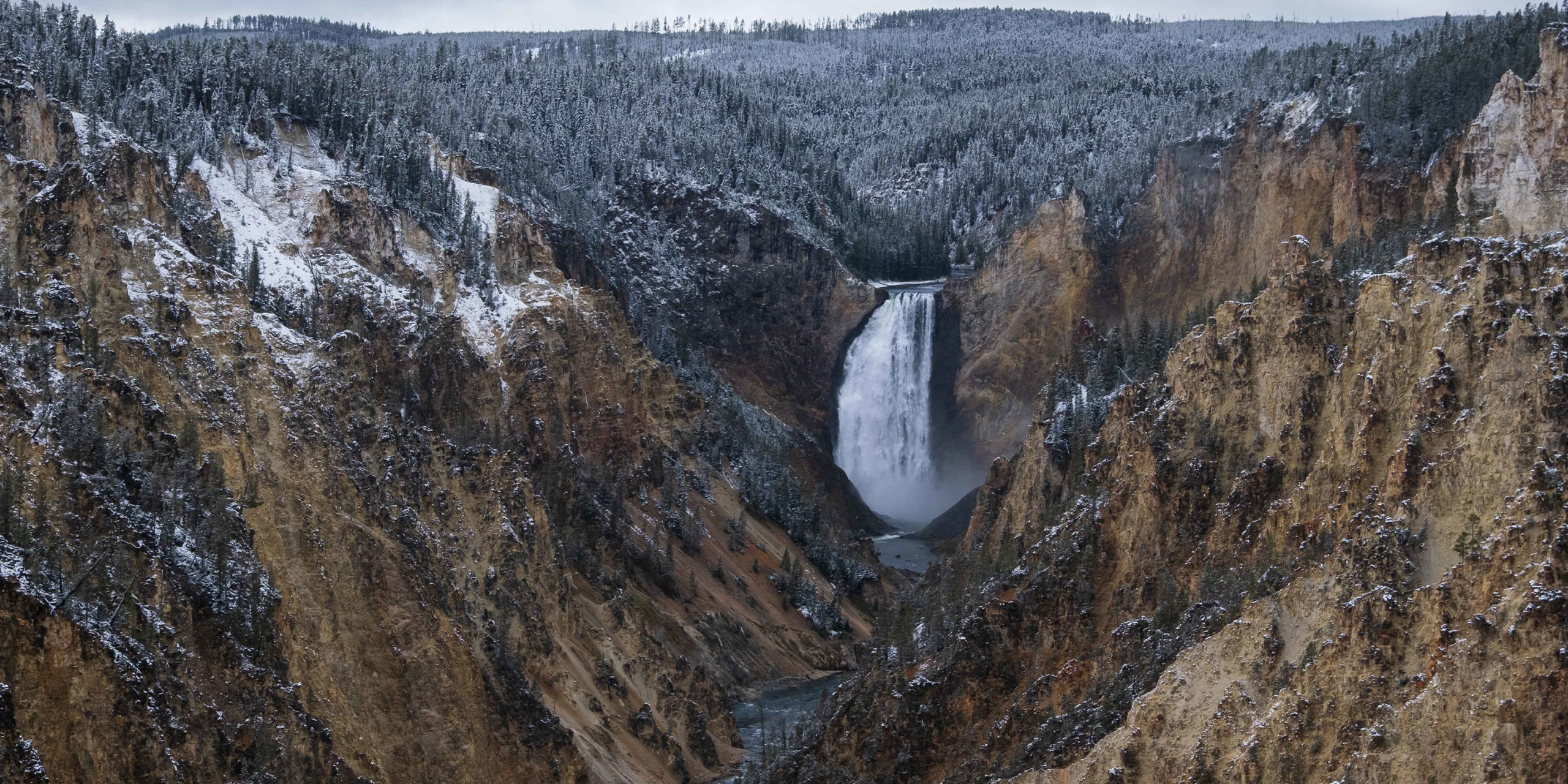Yellowstone National Park Tours: Wildlife Safaris & Iconic Landscapes ...